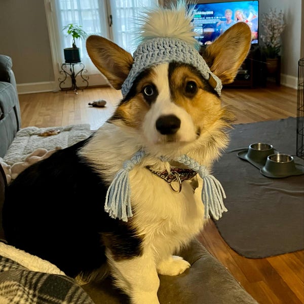 Corgi Beanie - Dog Beanie - Corgi Hats - Dog Hat - Dog Beanie - Fur ...