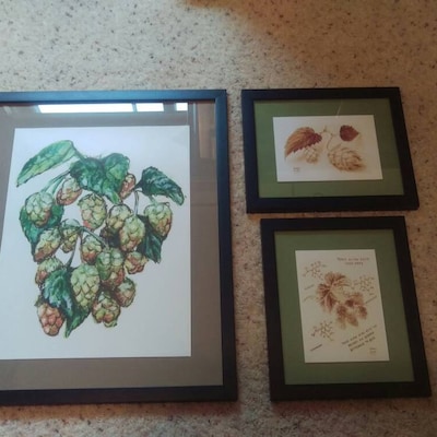 Beer Art, Hops Botanical Drawing, Painted With Beer, Bar Art, Brewery ...