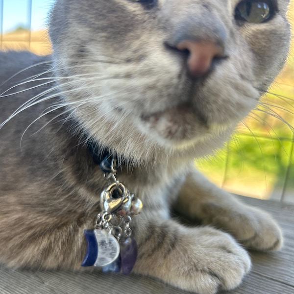 Pet Collar Crystal Charm | Crystal Moon Charm | Crystals for Dogs ...