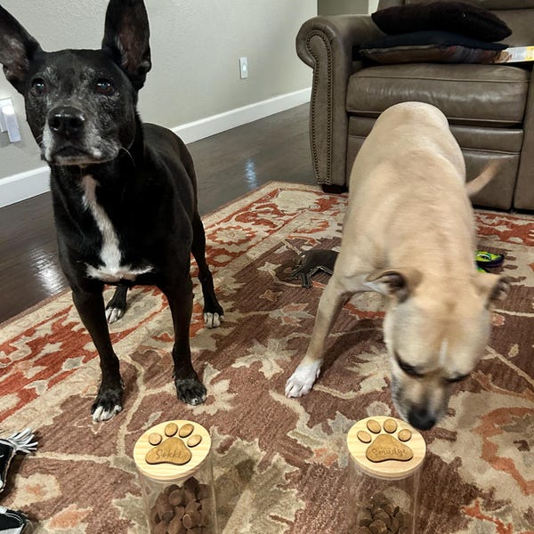 Wooden Dog Name Tag, Dog Kennel Sign, Personalized Pet Tag, Dog Room ...