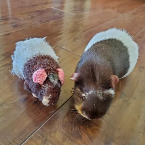 Custom Stuffed Animal, Custom Pet Plush, Personalized Pet Gift, Pet ...