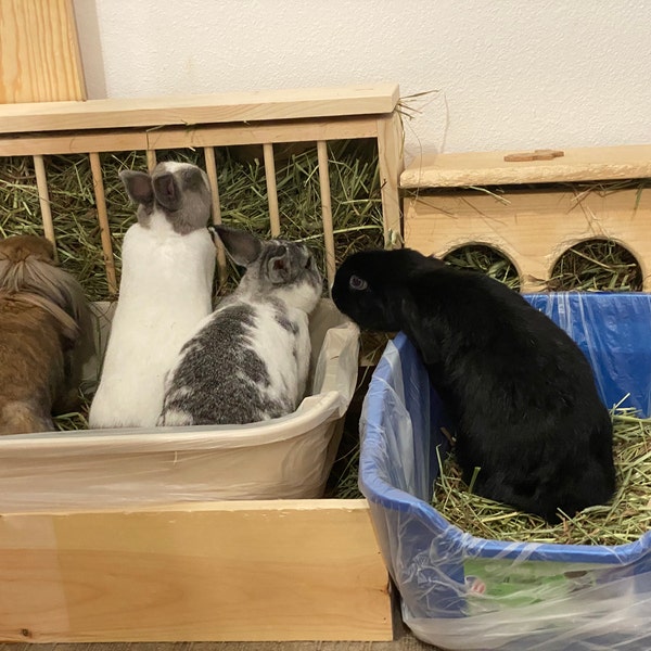 Large - Hop Box: Rabbit Bunny Hay Feeder and Litter Pan Combo, Sifting ...