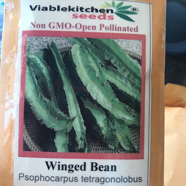 Winged Bean, Four Angled Bean, Manila Bean,Đậu Rồng Seeds ..20 -1000 ...