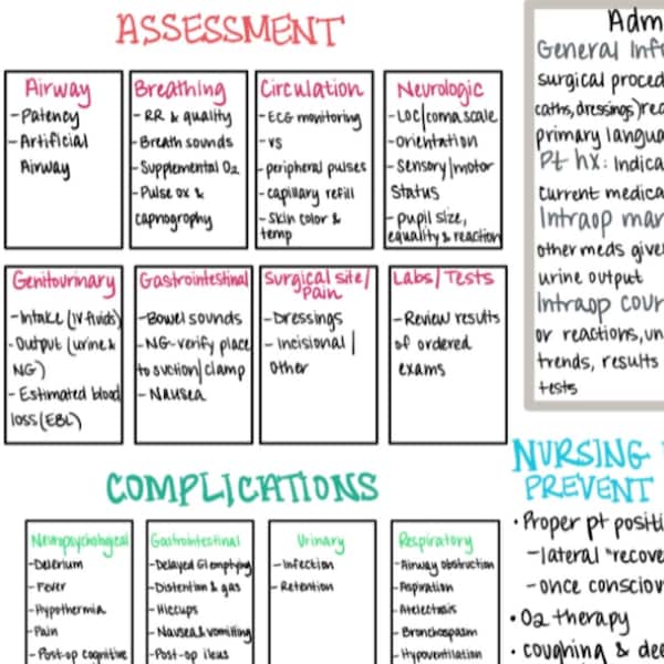 Nursing Notes-flow of Blood in Heart - Etsy