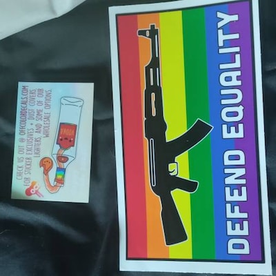 Defend Equality Trans Flag and Rifle Hard Enamel Pin - Etsy