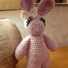 Crochet Kit Bunny Rabbit in 100% Wool & Alpaca Learn to - Etsy UK