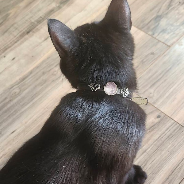 Crystal Cat Collar, Victorian Collar, Rose Quartz Collar, Witches Cat ...