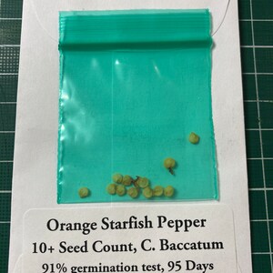 Carioca Orange Brazilian Wild Pepper Premium Seed Packet - Etsy