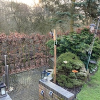 Dancing Fool Robot Automaton - Etsy UK