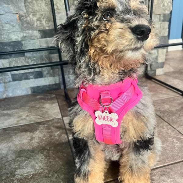 Please Do Not Disturb Door Sign, Conference Call Sign, Video Call Sign ...