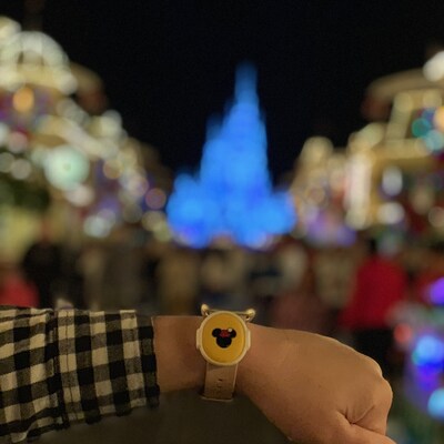 Our 1st Disney Cruise Ship Name Tag Family Magnet - Etsy