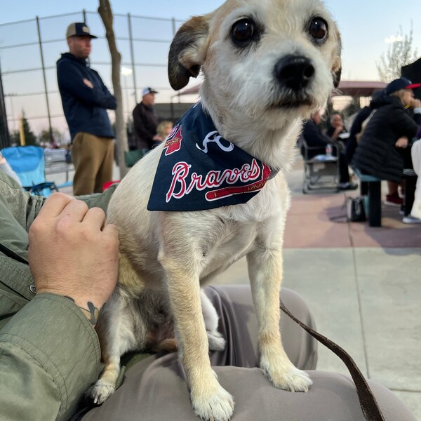 Elf Travel Jar, Plastic Container for Safe Travels, Christmas, Elf ...