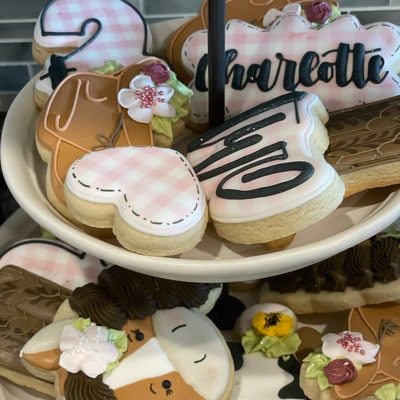 Top Gun Themed Birthday Cookies Dozen - Etsy