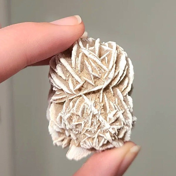 Desert Rose Selenite Pieces | Desert Gypsum Bud | Crystal Healing - Etsy