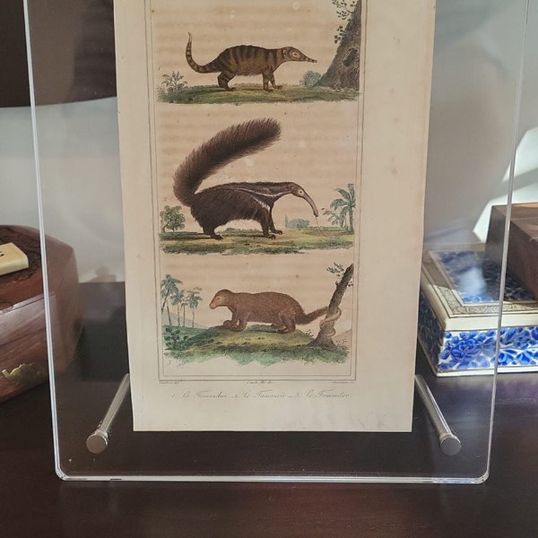 Antique 1892 Flags of the World Nations German Chromolithograph ...