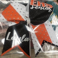 Gorgeous Double Layered Senior Sashes Made in Your Team Colors. Price ...