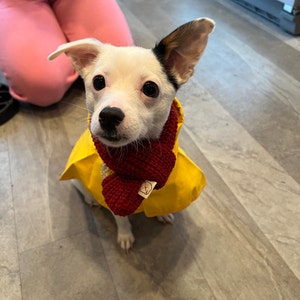 Knitted Muffler, S,L, Dog Cape, Pet Neckwear, Dog Neck Warmer, Pet ...