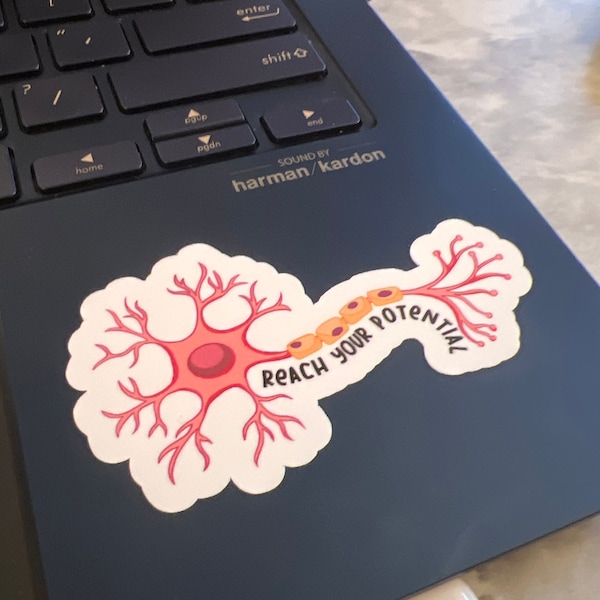 Neuron Potential Medical Sticker - Science Sticker - Medical Office ...