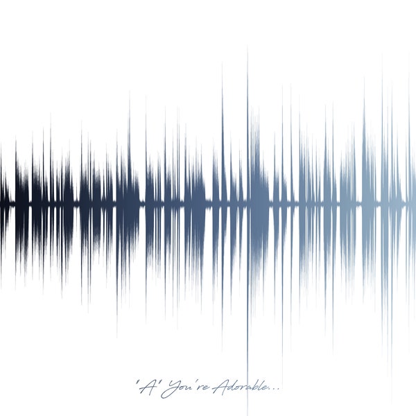 Custom Soundwave Print | Printable Personalized Voice Art Anniversary ...