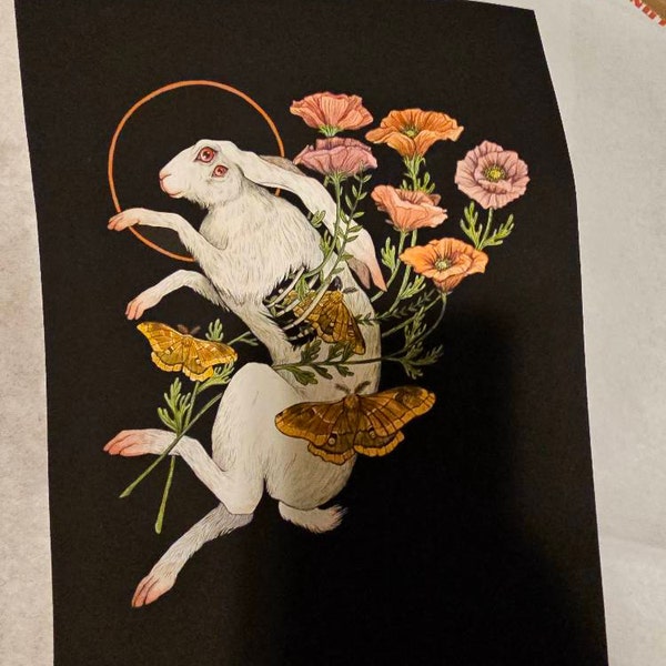 White Rabbit With Poppy Flowers- Giclee Print From Original Hand ...