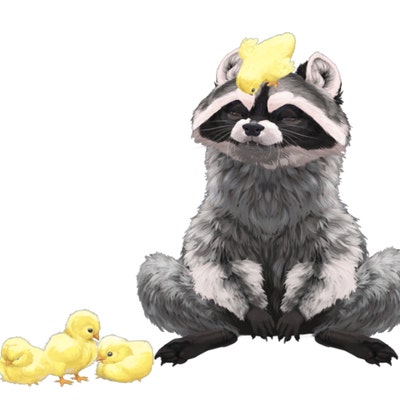 Racoon Vtuber Avatar Full Body/fully Rigged Live2d Model - Etsy