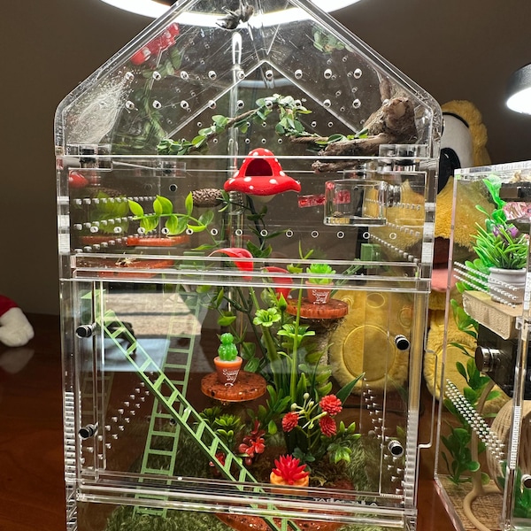 Custom Jumping Spider Enclosure From Kritter Kribs With Magnetic ...