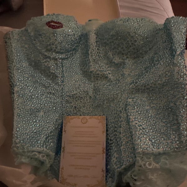 Body Suit With Hand Applied Crystals Sabrina Inspired, Lace Bodysuit ...