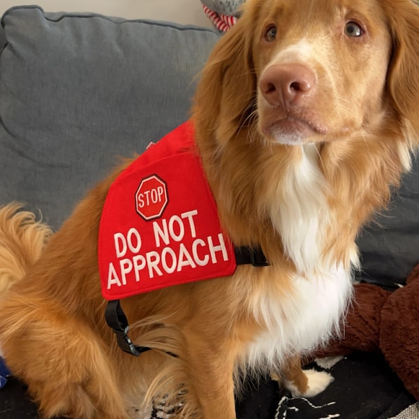 Vest (select Your Size), STOP Do Not Approach, Light Weight Sd Style ...