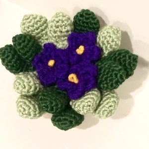 African Violet Crochet Pattern - Etsy