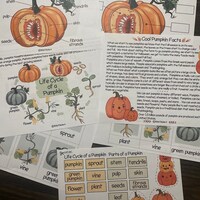 Pumpkin Unit Study Homeschool Learning Materials Charlotte Mason ...