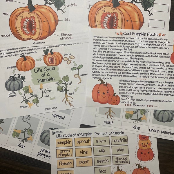 Pumpkin Unit Study Homeschool Learning Materials Charlotte Mason ...