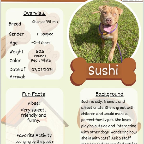 Dog Adoption Fact Sheet Canva Template, Animal Shelter, Pet Adoption ...
