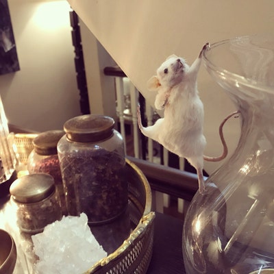 Hanging Mouse - Etsy UK