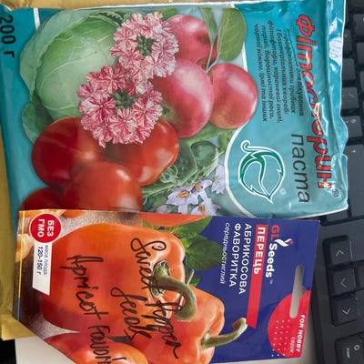 Tomato Seed Tomato Seeds Jason 2110 - Etsy Canada