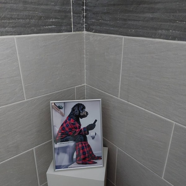 British Bulldog Sitting on Toilet Very Cool Dog on Loo Animal on Mobile ...