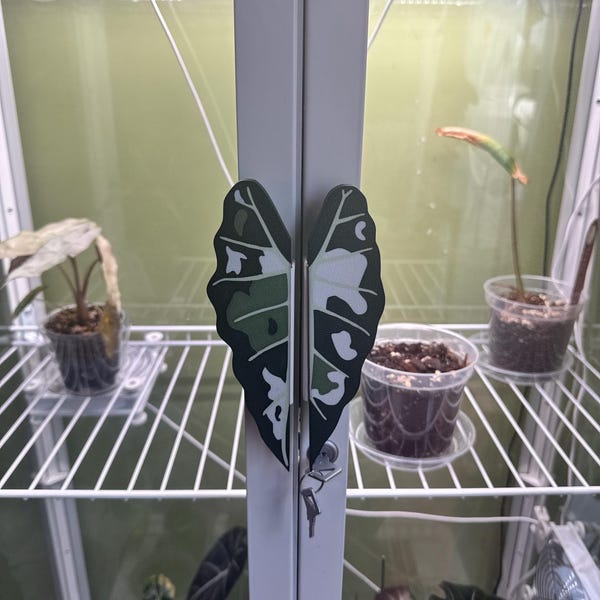 Plant Propagation Pins for Cuttings, Gardening Plant Clips, Strawberry ...