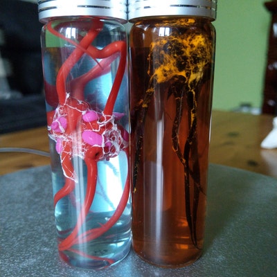 Resident Evil Ne-a TYPE Nemesis Parasite. - Etsy