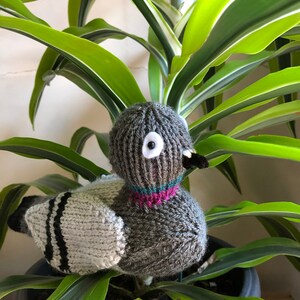 Pigeon Knit Kit All You Need to Knit a Cute Pigeon Bill the Pigeon ...