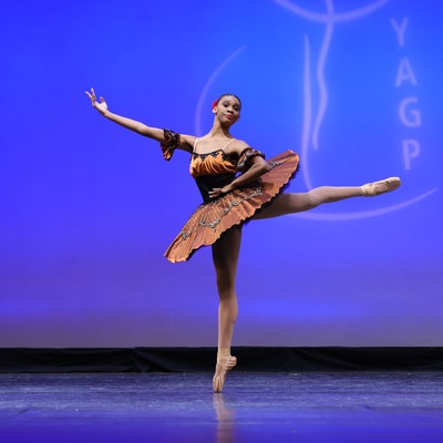 Pink Dew Drop Fairy Ballet Costume - Etsy