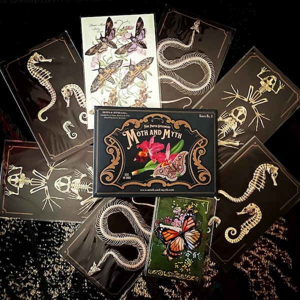 Paper Snake Skeleton, Realistic Double-sided Paper, Laser-cut Craft ...