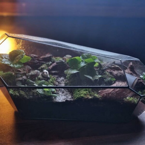 Waterproof 18 Inches Geometric Terrarium Galaxius - Stunning Parametric ...
