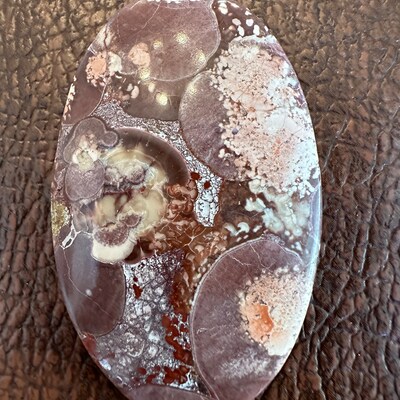 Designer Palm Root Cabochon, Wire Wrapping, Fossilized Palm Root ...