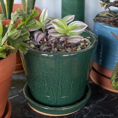 Akabe Turquoise Clay/ Ceramic Planter Pot With Saucer Attached ...