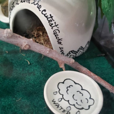 Small Quirky Gecko Dishes - Etsy