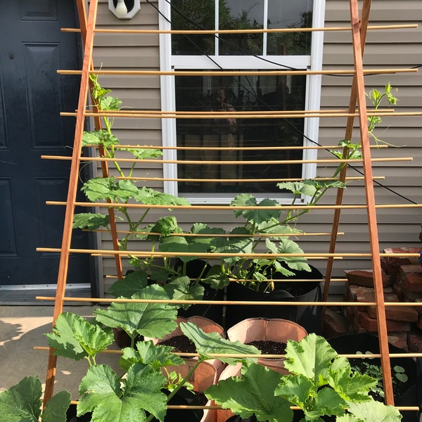 Hardwood Trellis - A Frame, 4ft and 6ft Plant Playground, Fun for ...