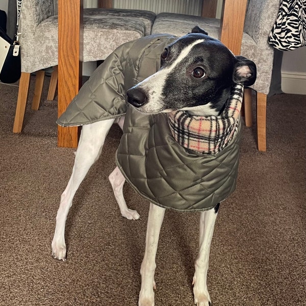 Waterproof Winter Whippet and Greyhound Quilted Coats - Etsy