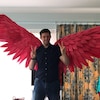 Extra Large Wings, White Angel Wings, Black Wings, Gold Wings, Big ...