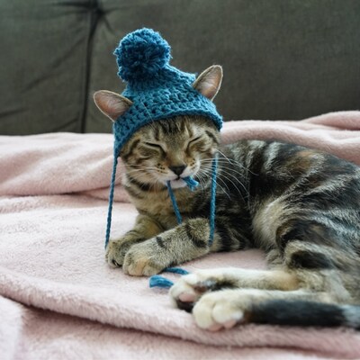 Crochet Pattern: Striped Beanie Hat for Cats, PDF Digital Download ...