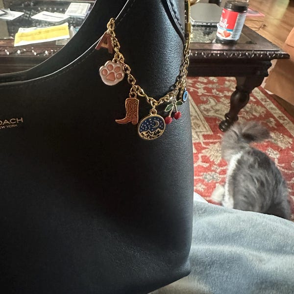 Design Your Purse Charm Chain/handbag Charm Chain/purse Charm Accessory ...