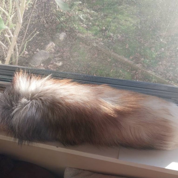 XL Smokey Red Fox Tail (XL and Regular Size), Real Fox Tail, Tails for ...